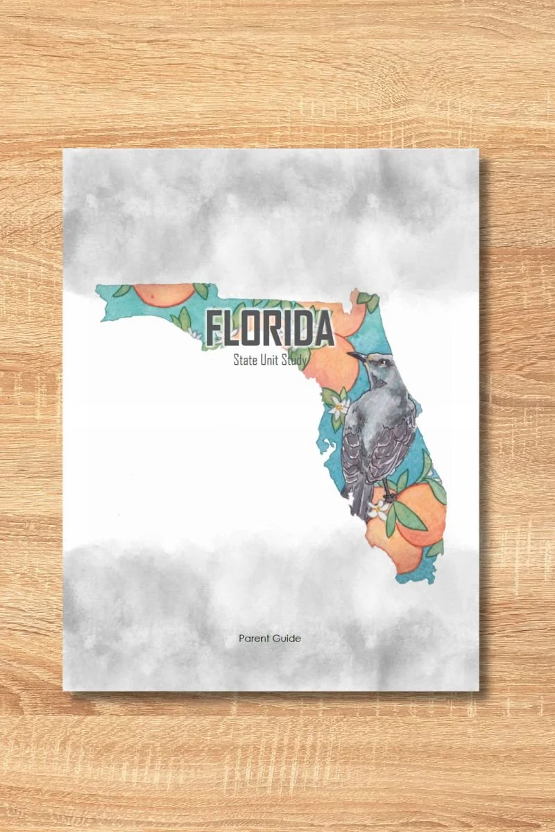 50 States and Capitals Flashcards — Where'd You Learn That? Homeschool