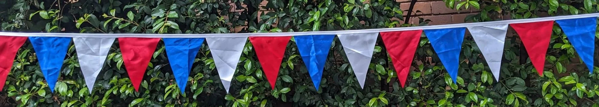 Monkey Bunting — Flag Monkey