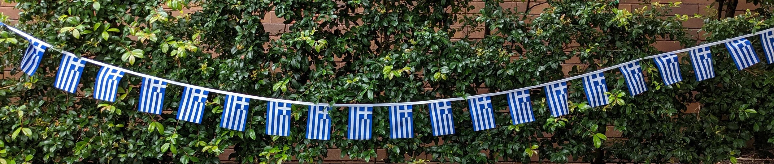 Monkey Bunting — Flag Monkey