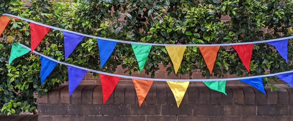Monkey Bunting — Flag Monkey