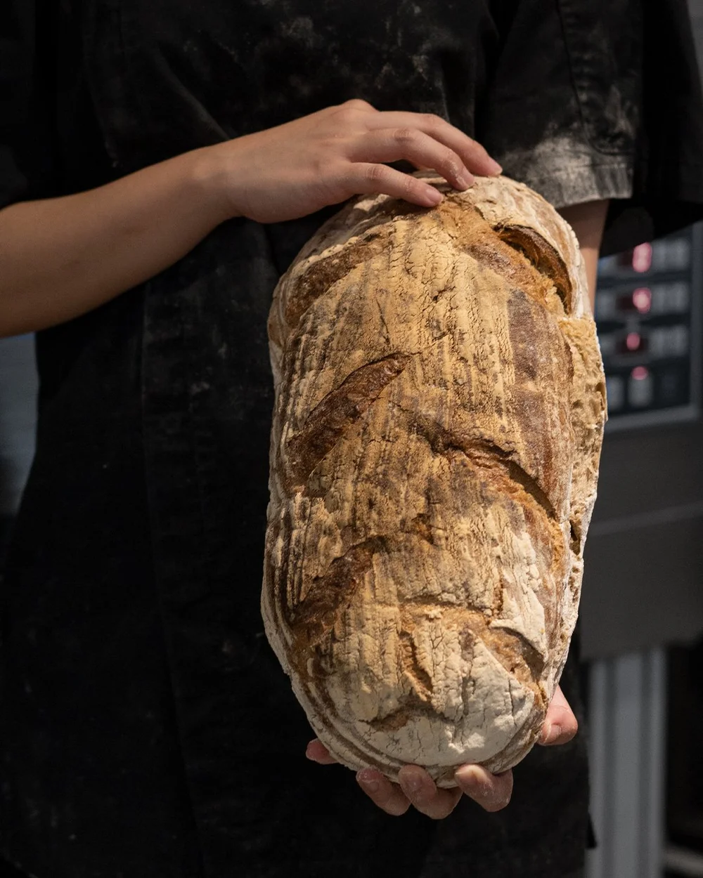 Five Oars Coffee Roasters