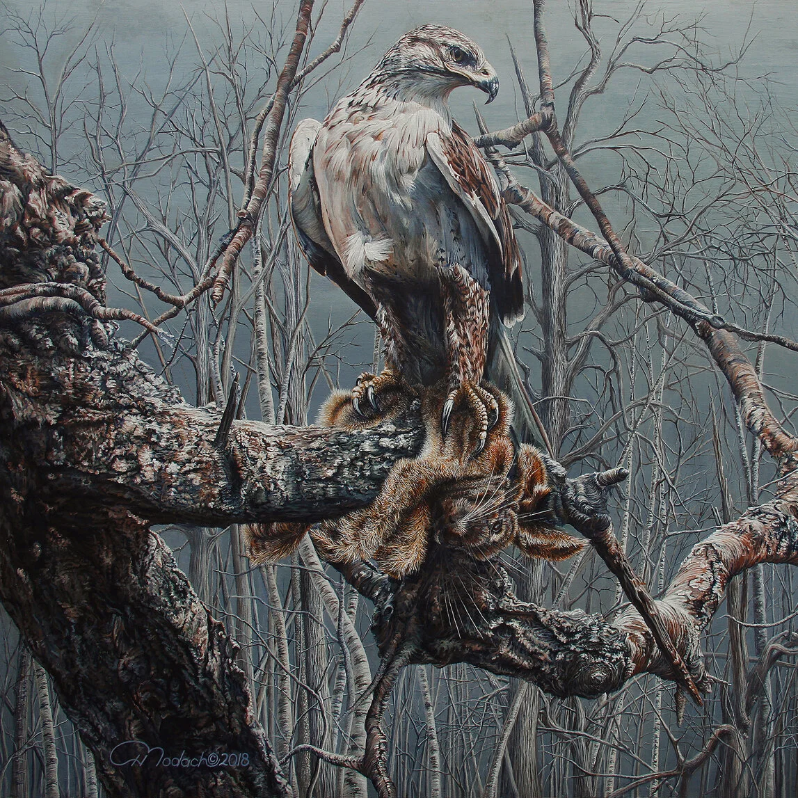 Gallery 3 — Harvey Bodach