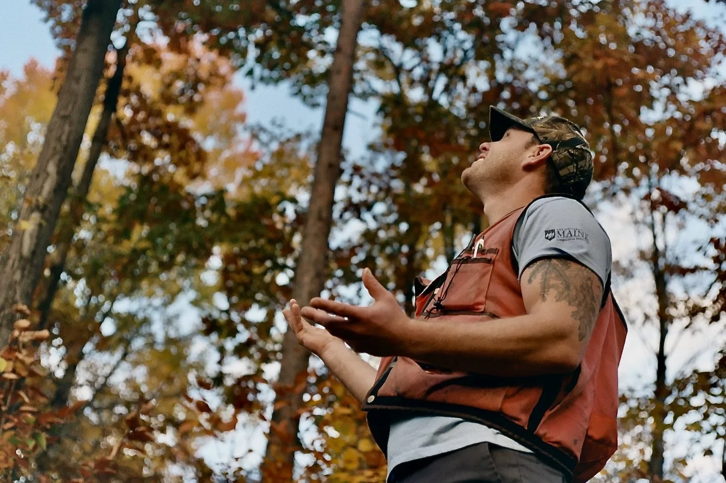 How to Love a Forest — Ethan Tapper | Forester | Author