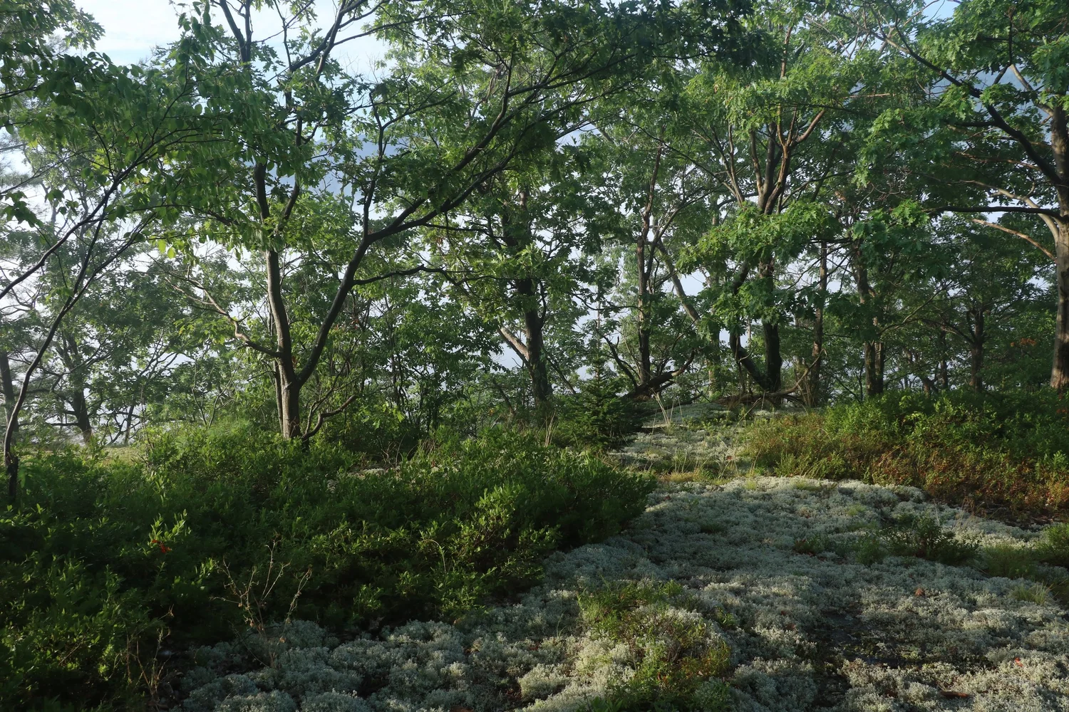 About Ethan — Ethan Tapper