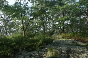 About Ethan — Ethan Tapper