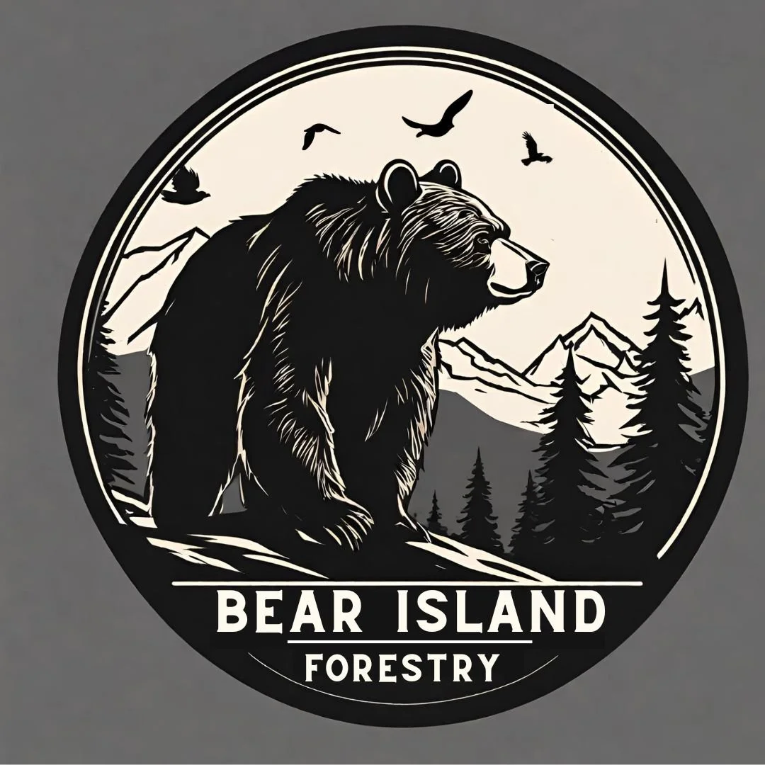 Services — Ethan Tapper