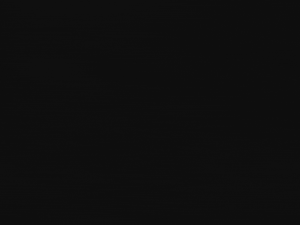 Poly Universal Pack — polyperfect