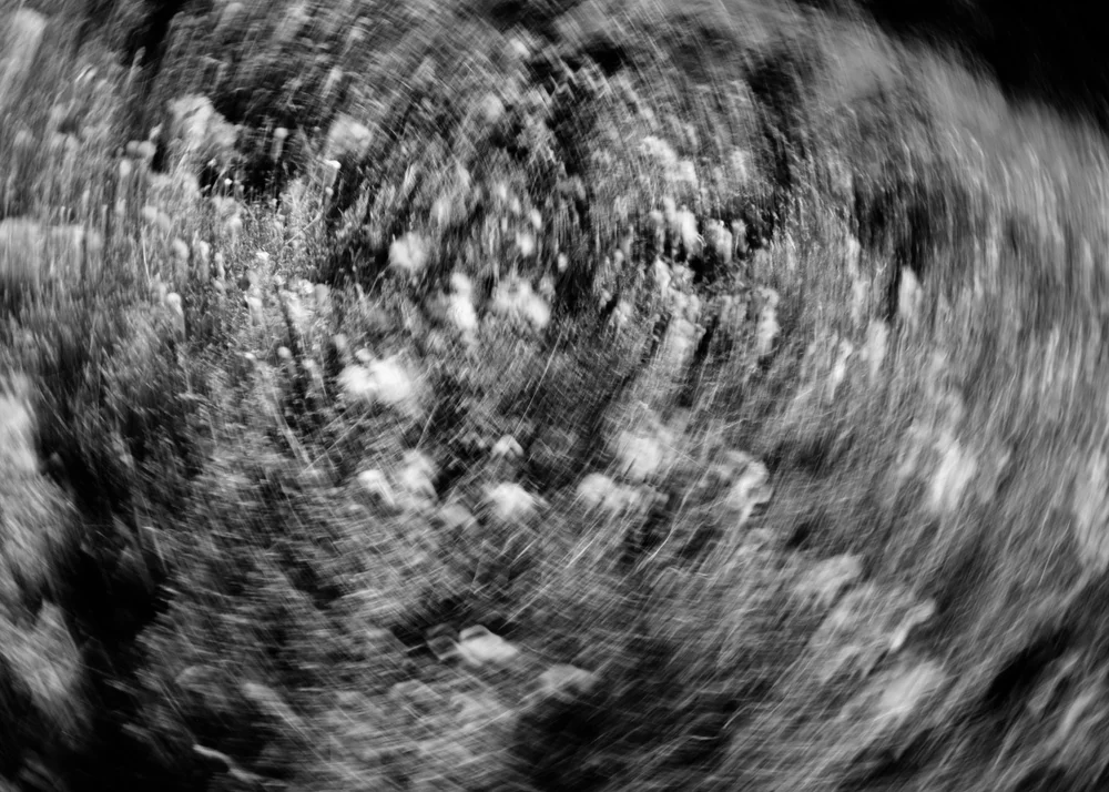 Field Rotations — Mike Tudor