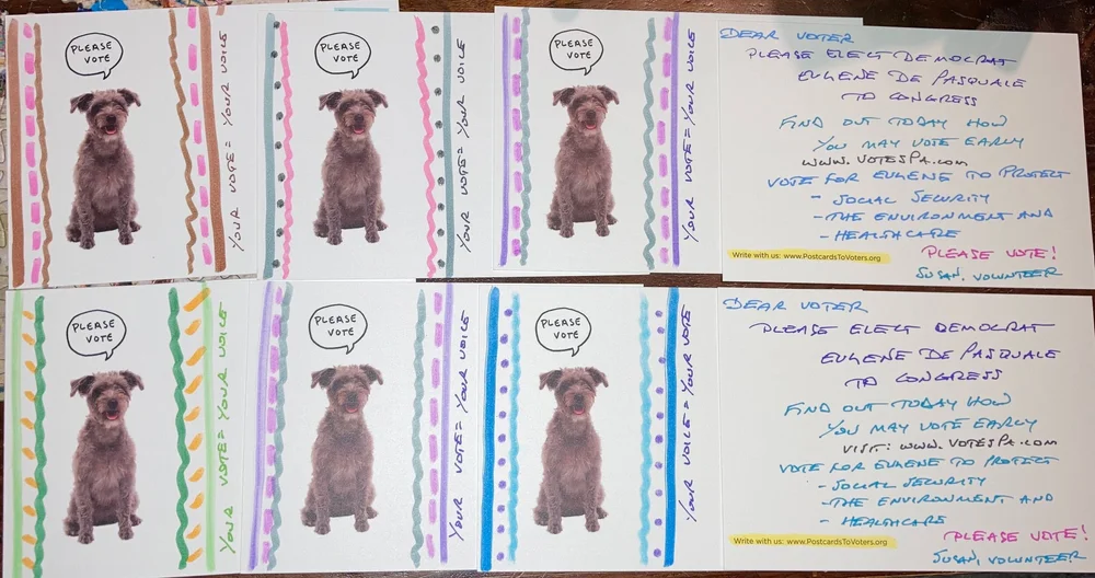 Postcard Examples — Markers For Democracy