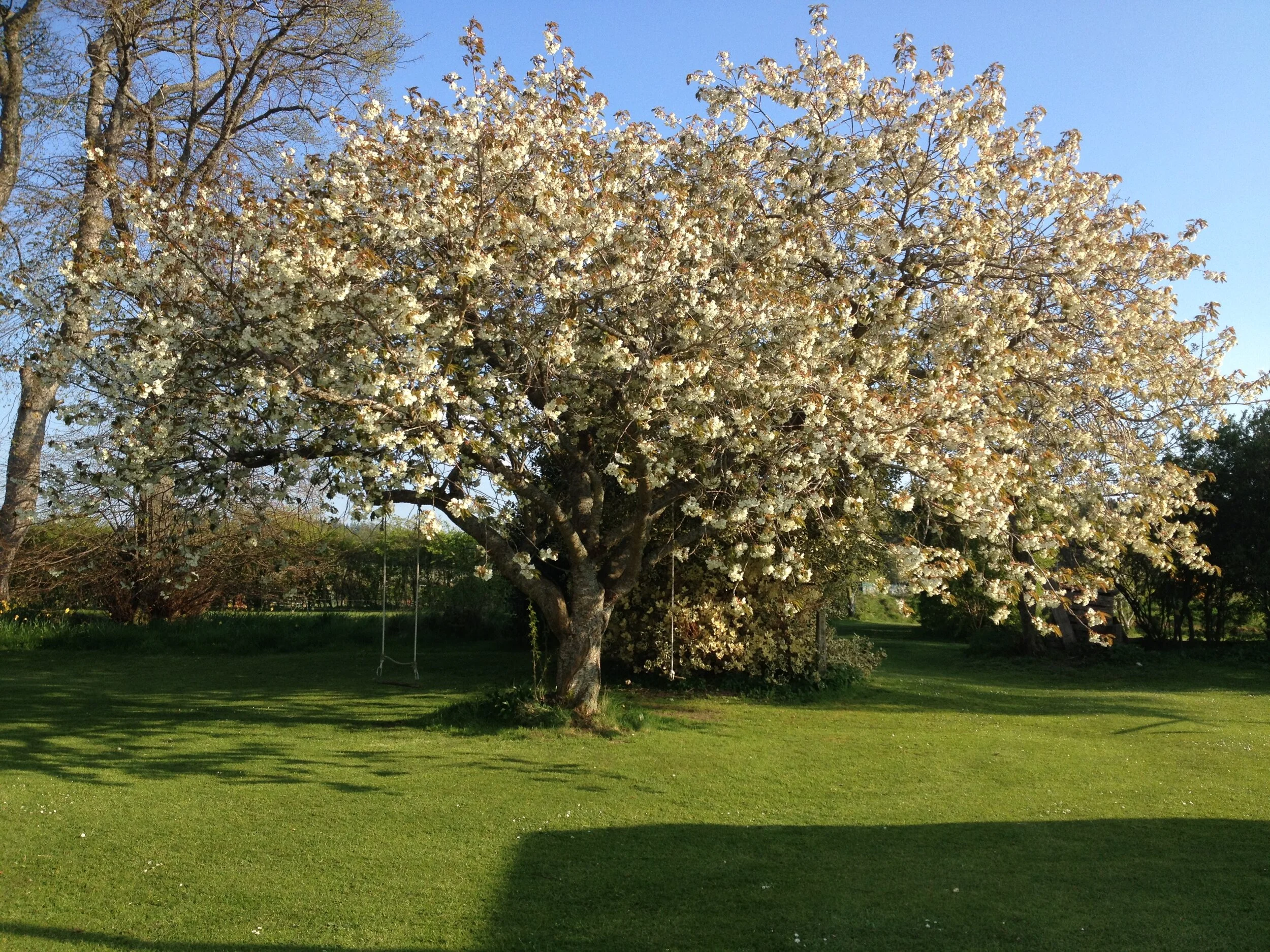 Gallery — Marcassie Farm Lodges