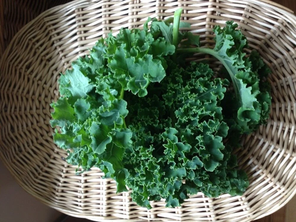 Lodges — Marcassie Farm Lodges