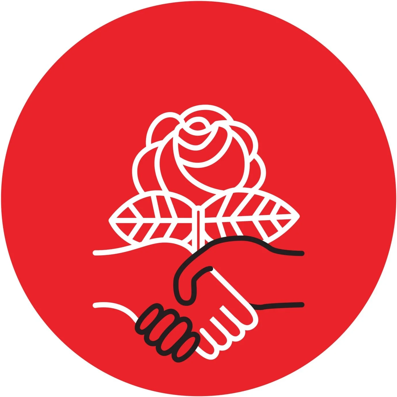Jorge Defendini — Solidarity Slate