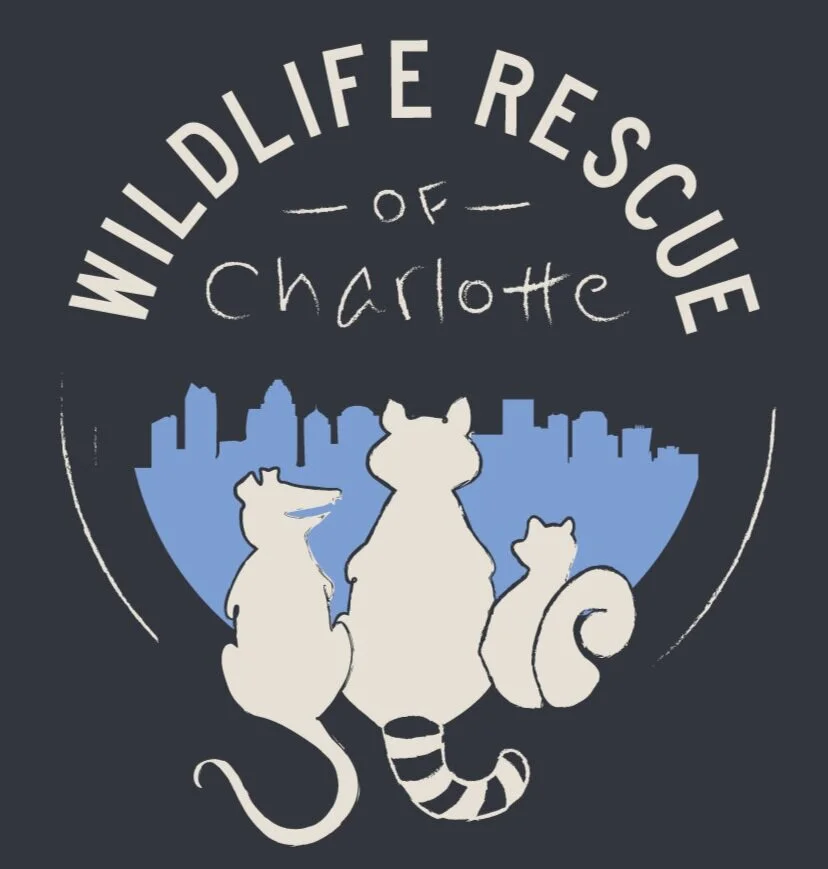 Wild Animal Rescue Logo