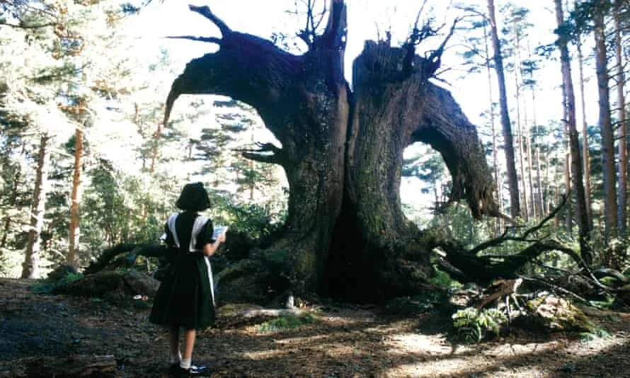 Pan's Labyrinth: The Trials of Ofelia — The Other Folk