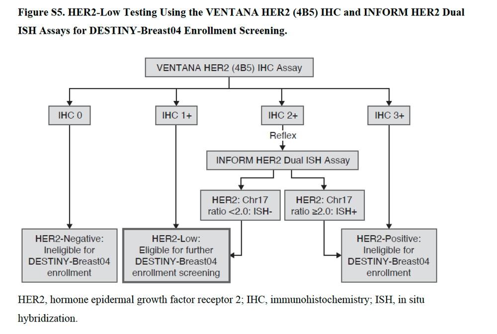 HER2-Low Project — PIcc Alliance