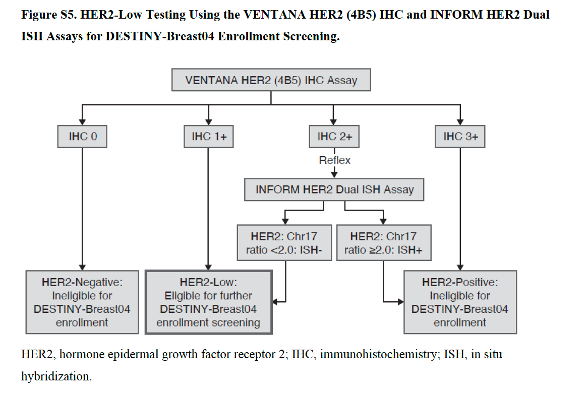 HER2-Low Project — PIcc Alliance