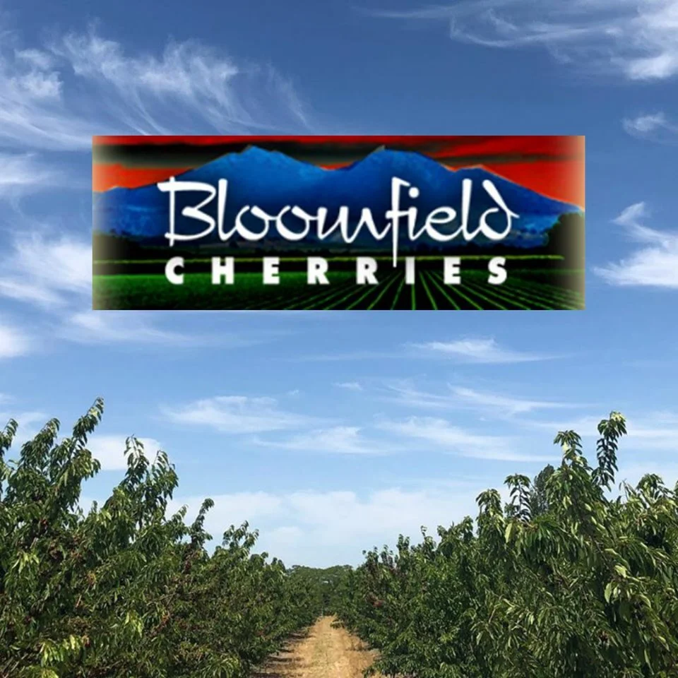 Bloomfield Cherries: Your Destination for Fresh Cherry-Picking in ...
