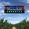 Bloomfield Cherries: Your Destination for Fresh Cherry-Picking in ...