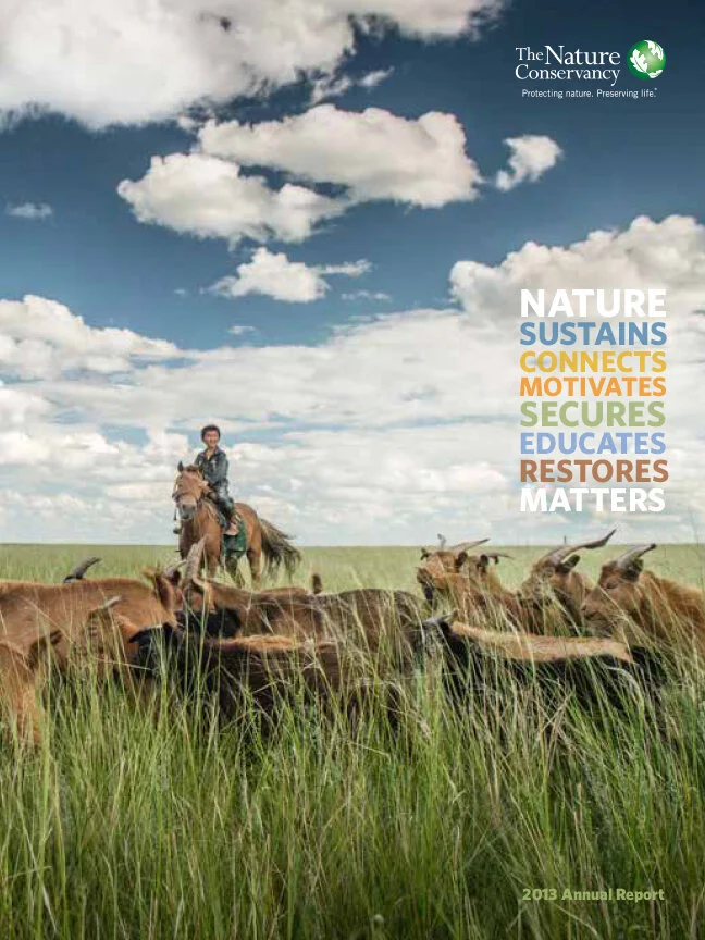 The Nature Conservancy Annual Reports — Amanda Lynn Davies