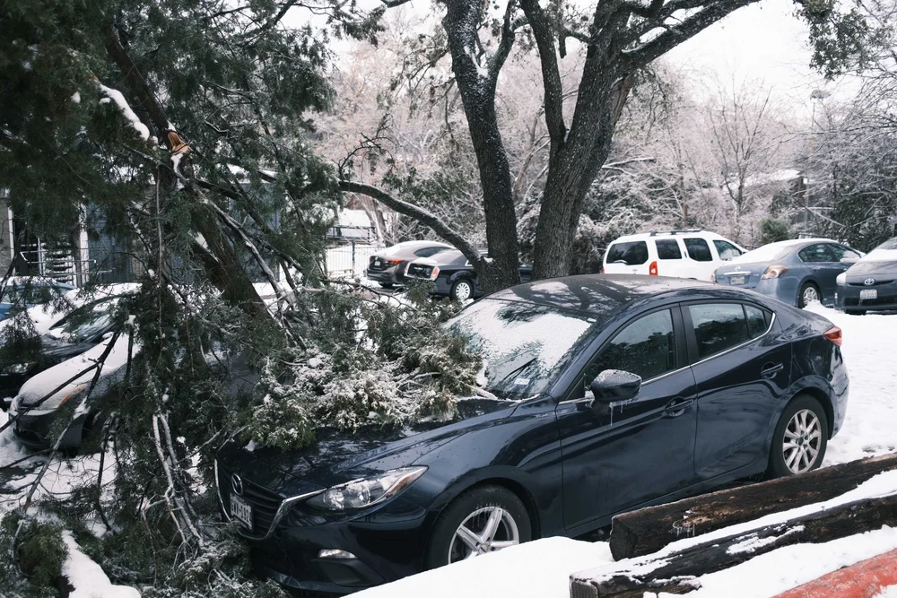 The Great Texas Freeze of 2021 — Dead Foot Collective