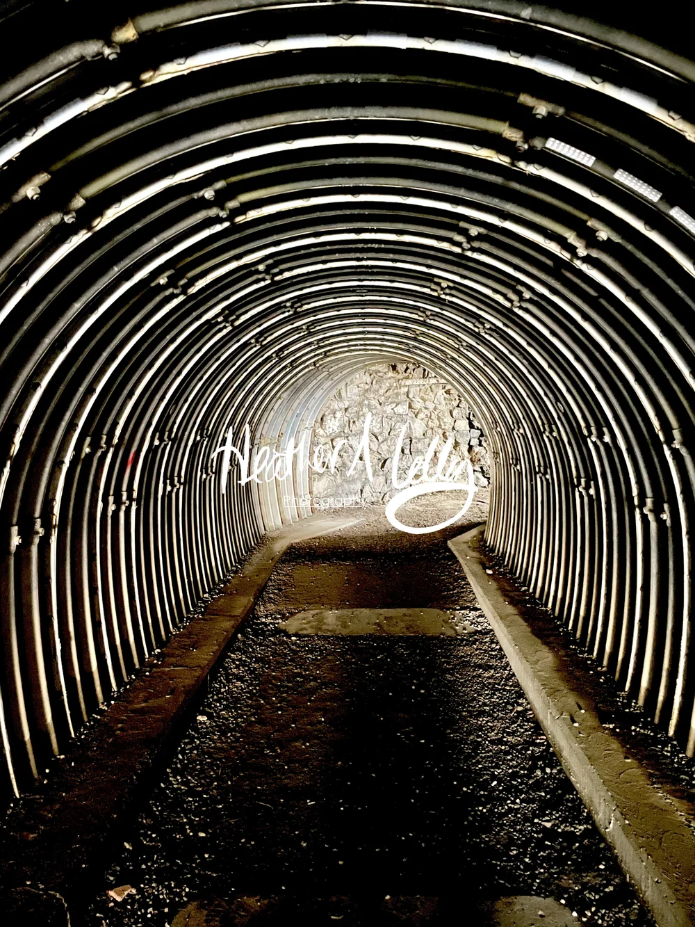 All Prints — Heather A. Colby Photography