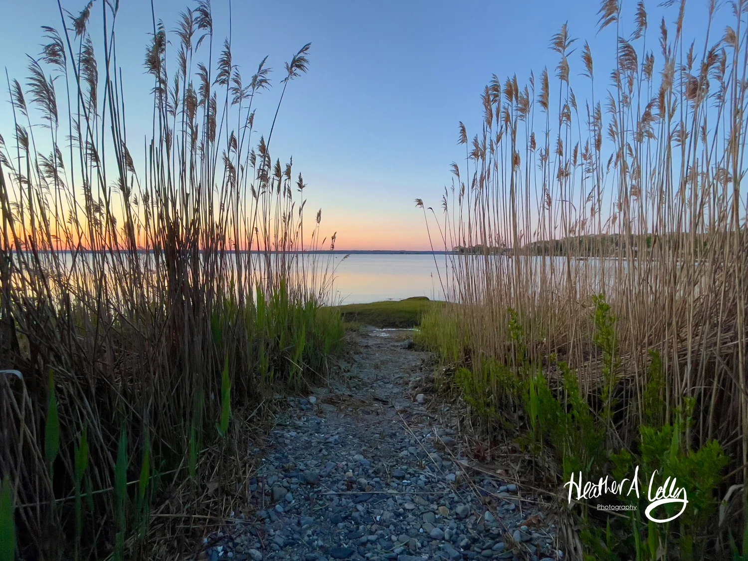 All Prints — Heather A. Colby Photography