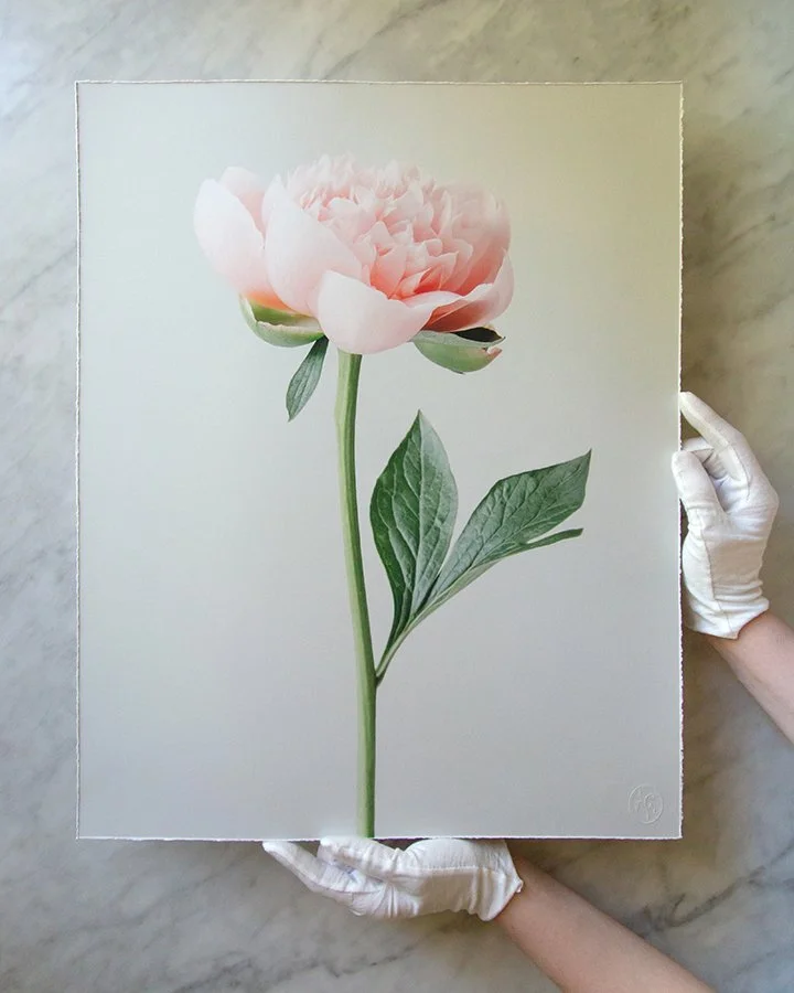 How to Collect — Ali Lanenga