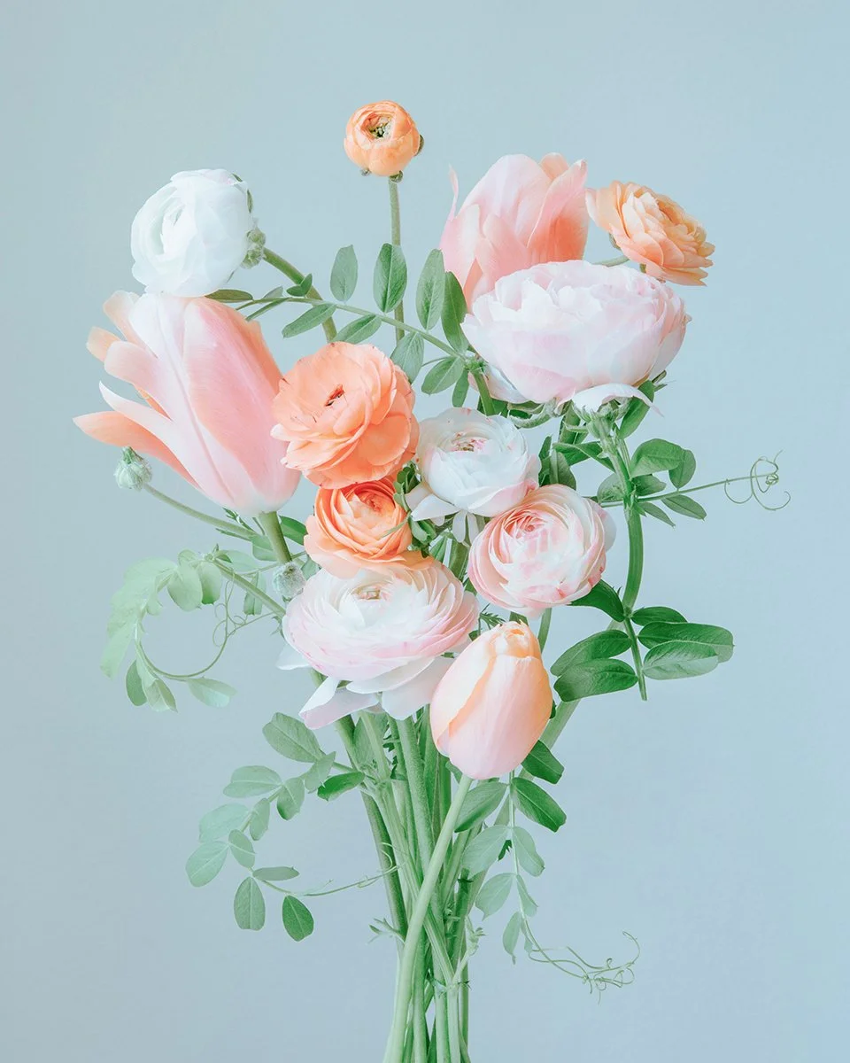 2022 Catalogue — Ali Lanenga