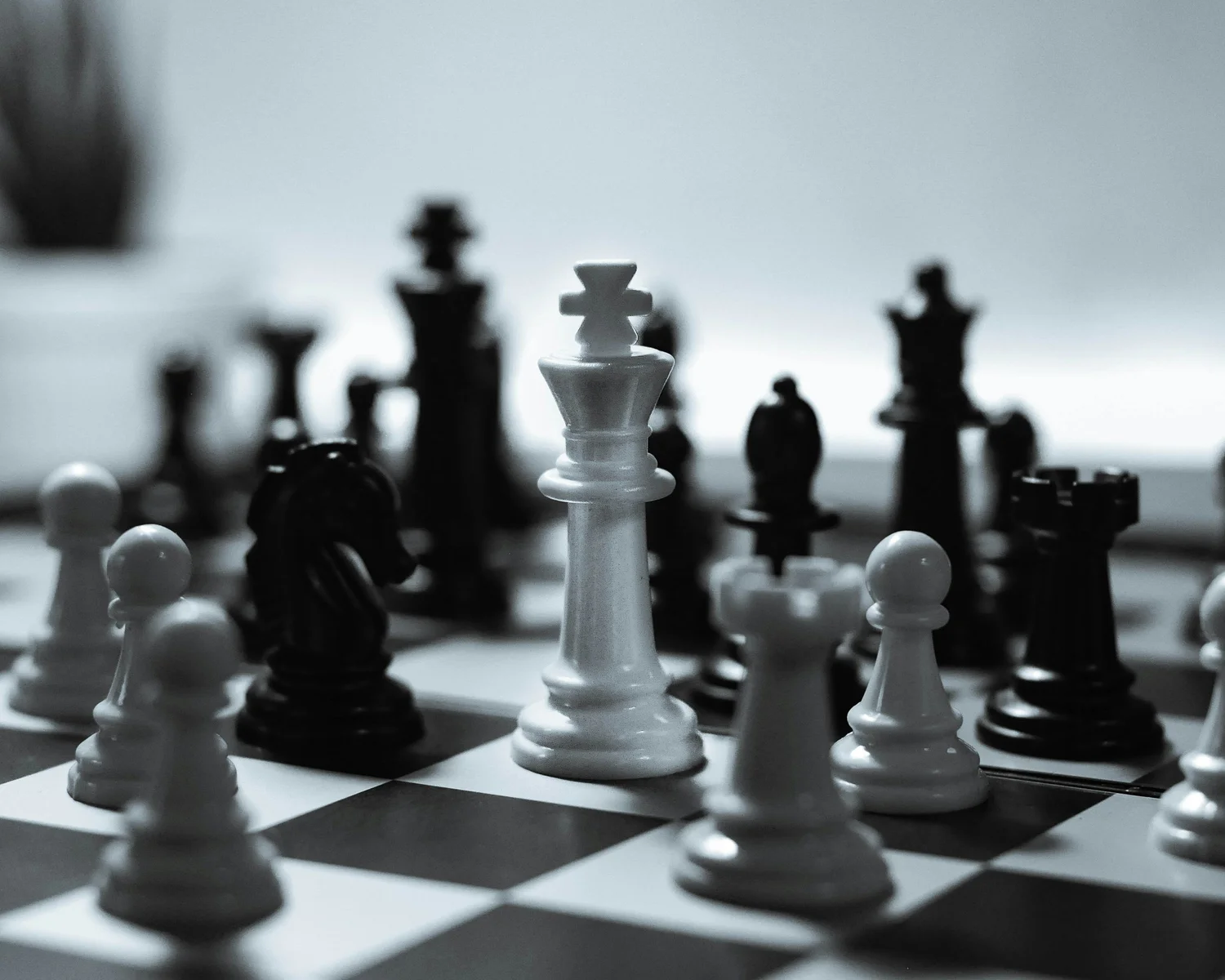 Rose City Chess