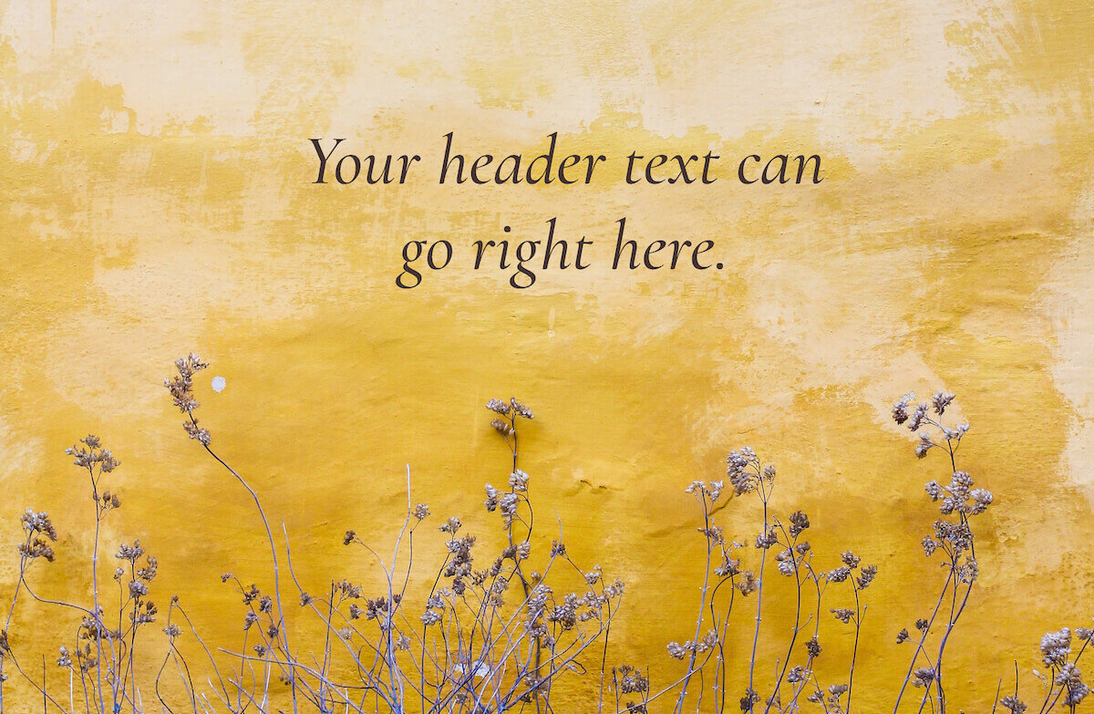 How to Select the Perfect Stock Photos for Your Website — Kate Scott ...