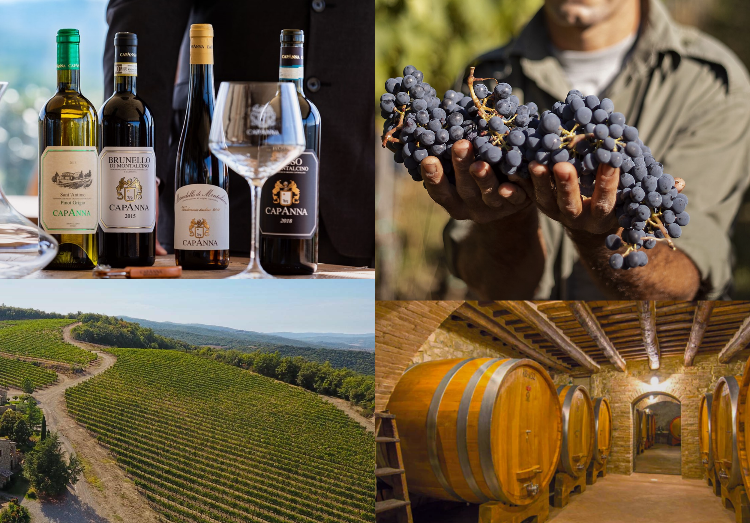 Savour the Best of Capanna Winery at Palm Court Brasserie… - Palm Court ...