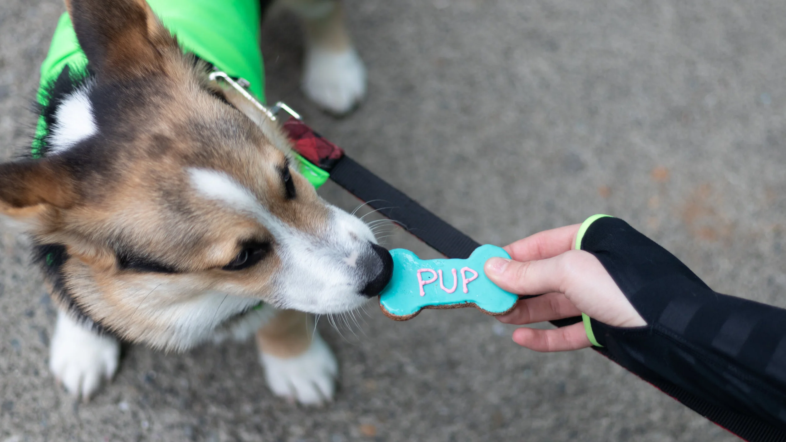 Yearbook 2020 — E@RTC