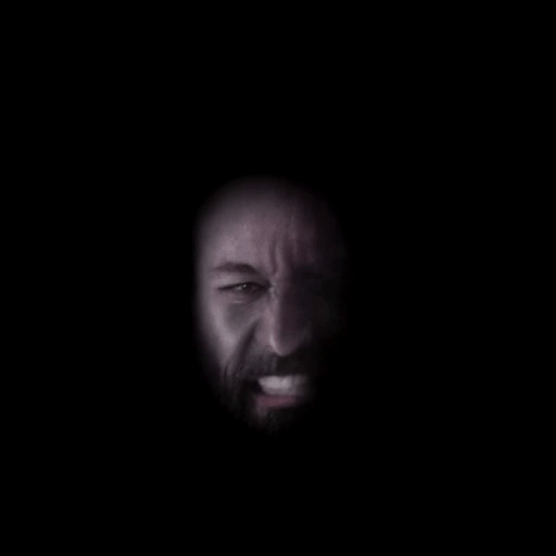 The Face Project / Tamar Chatterjee