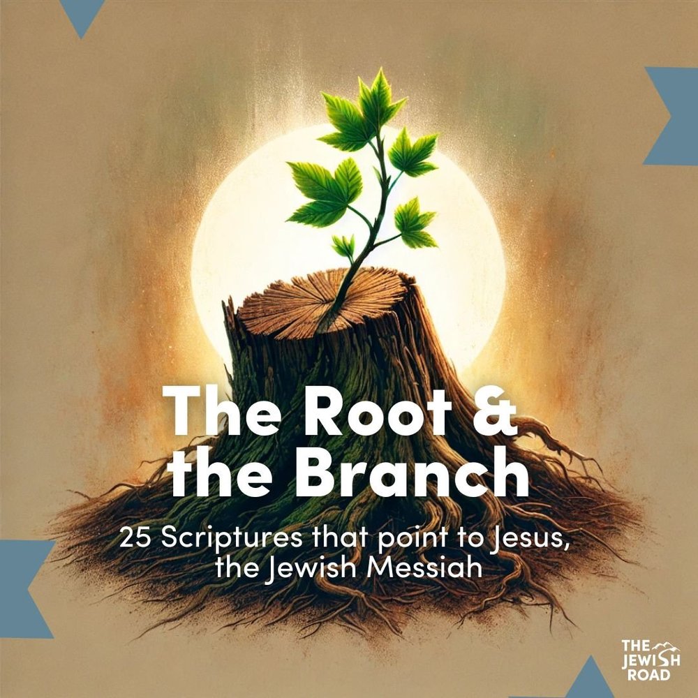The Root and the Branch: 25 Scriptures That Point to Jesus, the Jewish ...