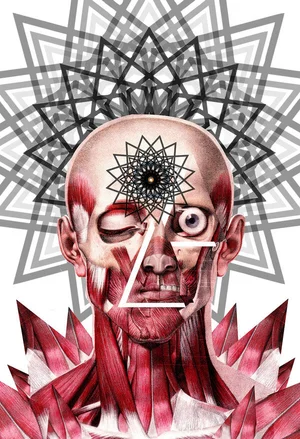 Stunning Anatomical Collages by Travis Bedel — STREET ANATOMY