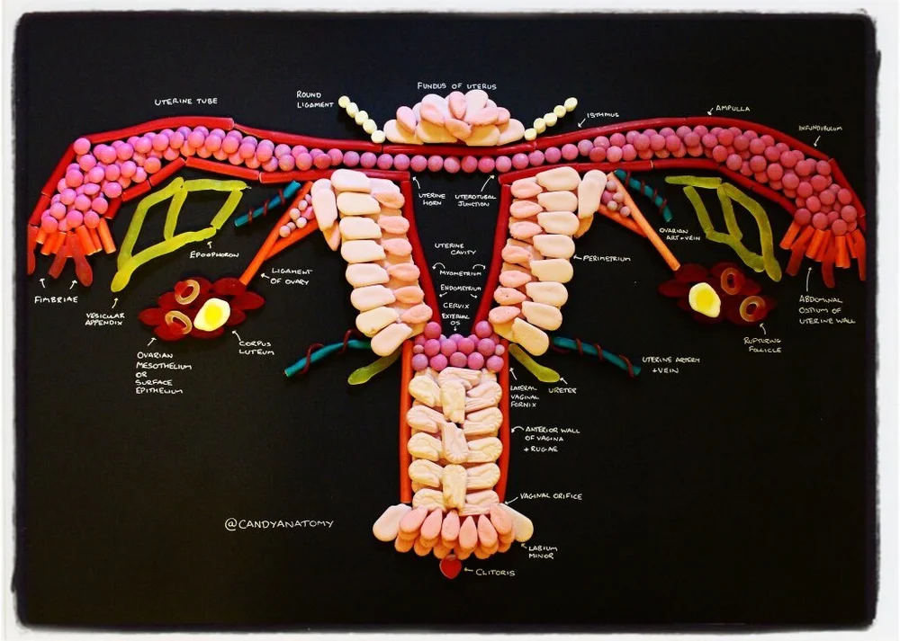 Candy Anatomy—a Story of Sweet Success — STREET ANATOMY