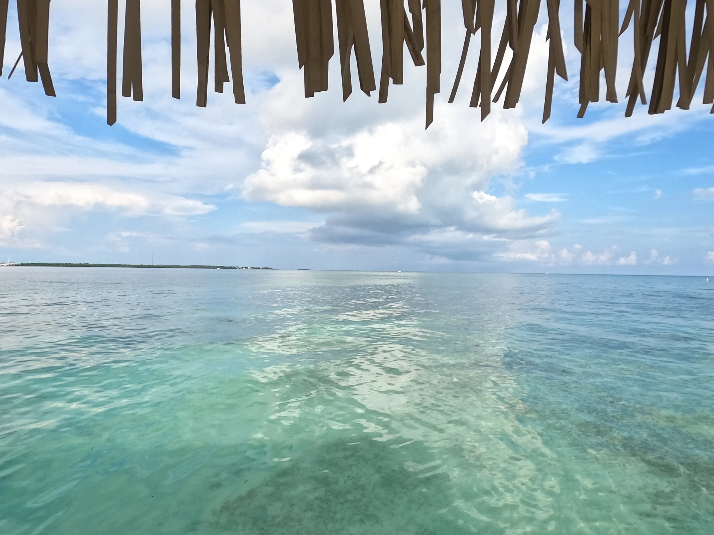 Snorkeling Sandbar Sunset Tours | Clearly Unique Charters