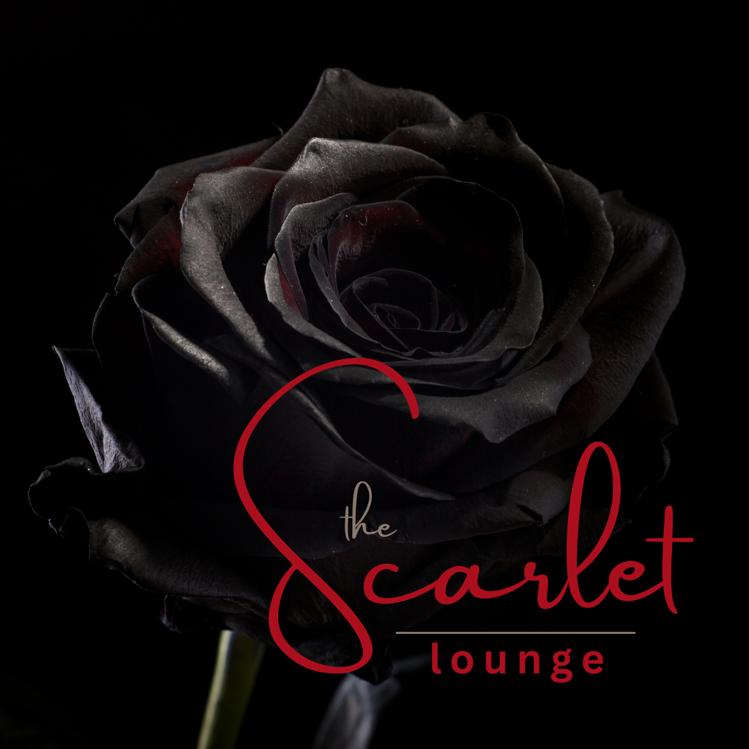 Bistro Dining in Kansas City — TAILLEUR