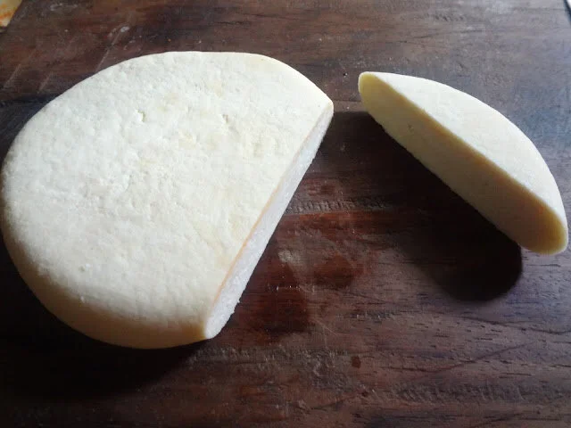 Homemade fresh paneer with milk powder — Your Everyday Cook