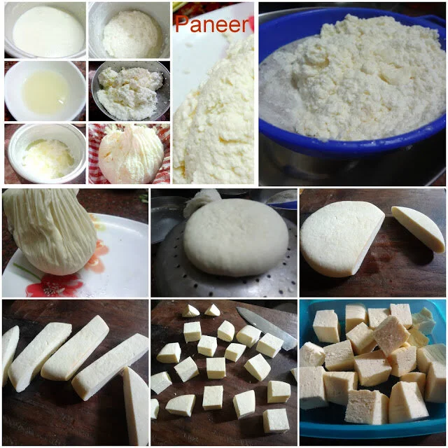 Homemade fresh paneer with milk powder — Your Everyday Cook