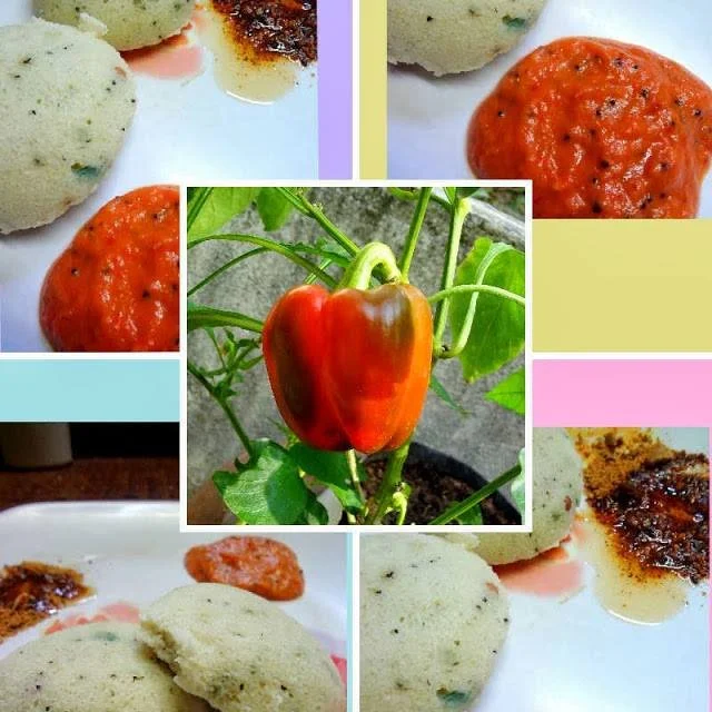 Bell pepper chutney — Your Everyday Cook
