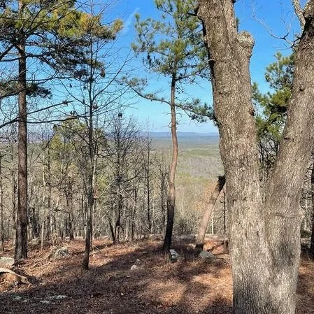 Available Land & Real Estate — Timber Ridge Estates