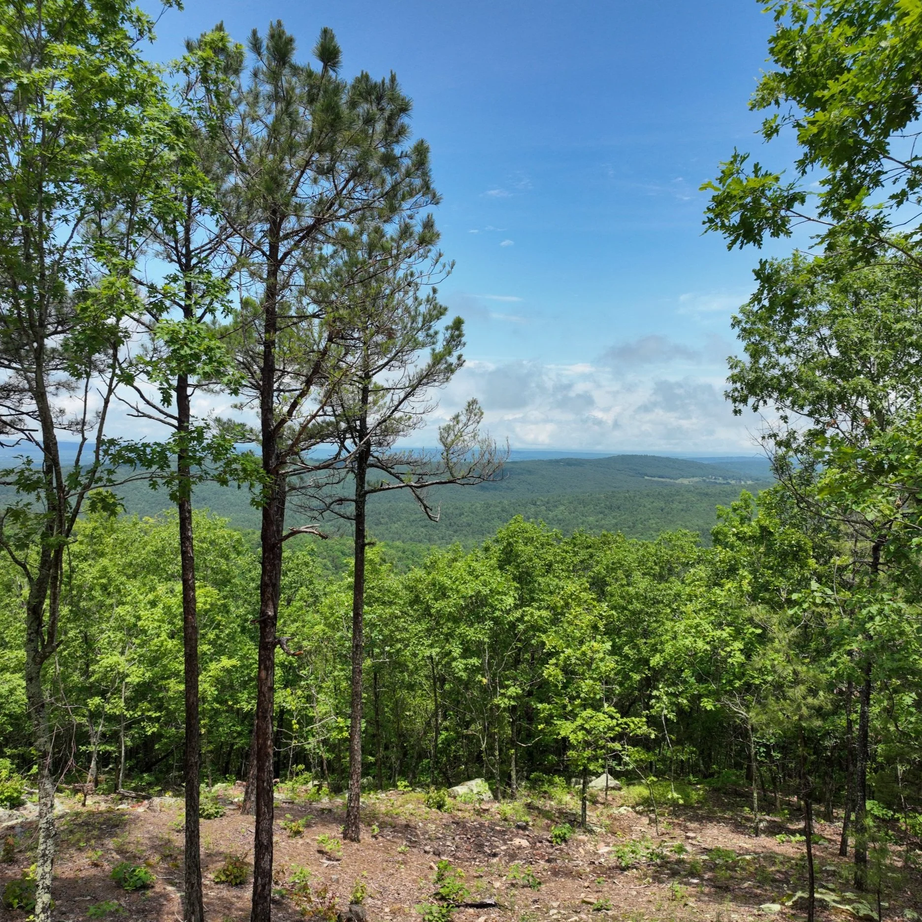 Available Land & Real Estate — Timber Ridge Estates