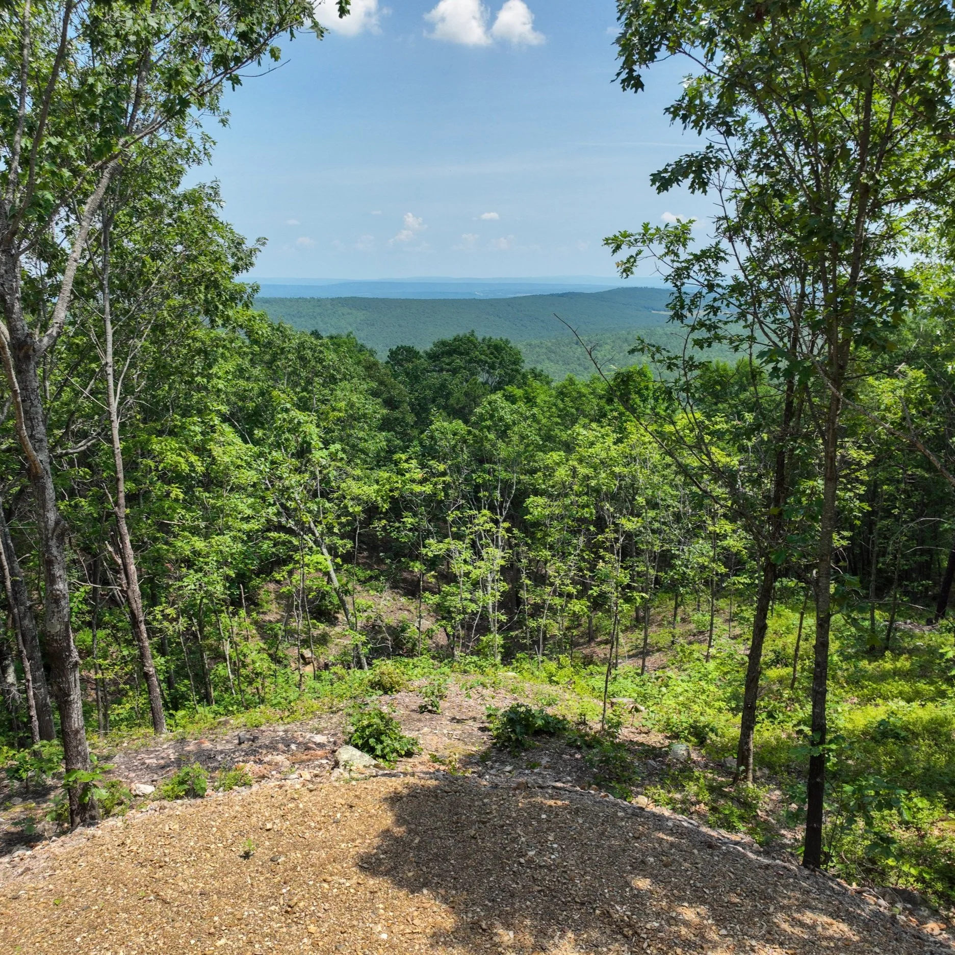 Available Land & Real Estate — Timber Ridge Estates