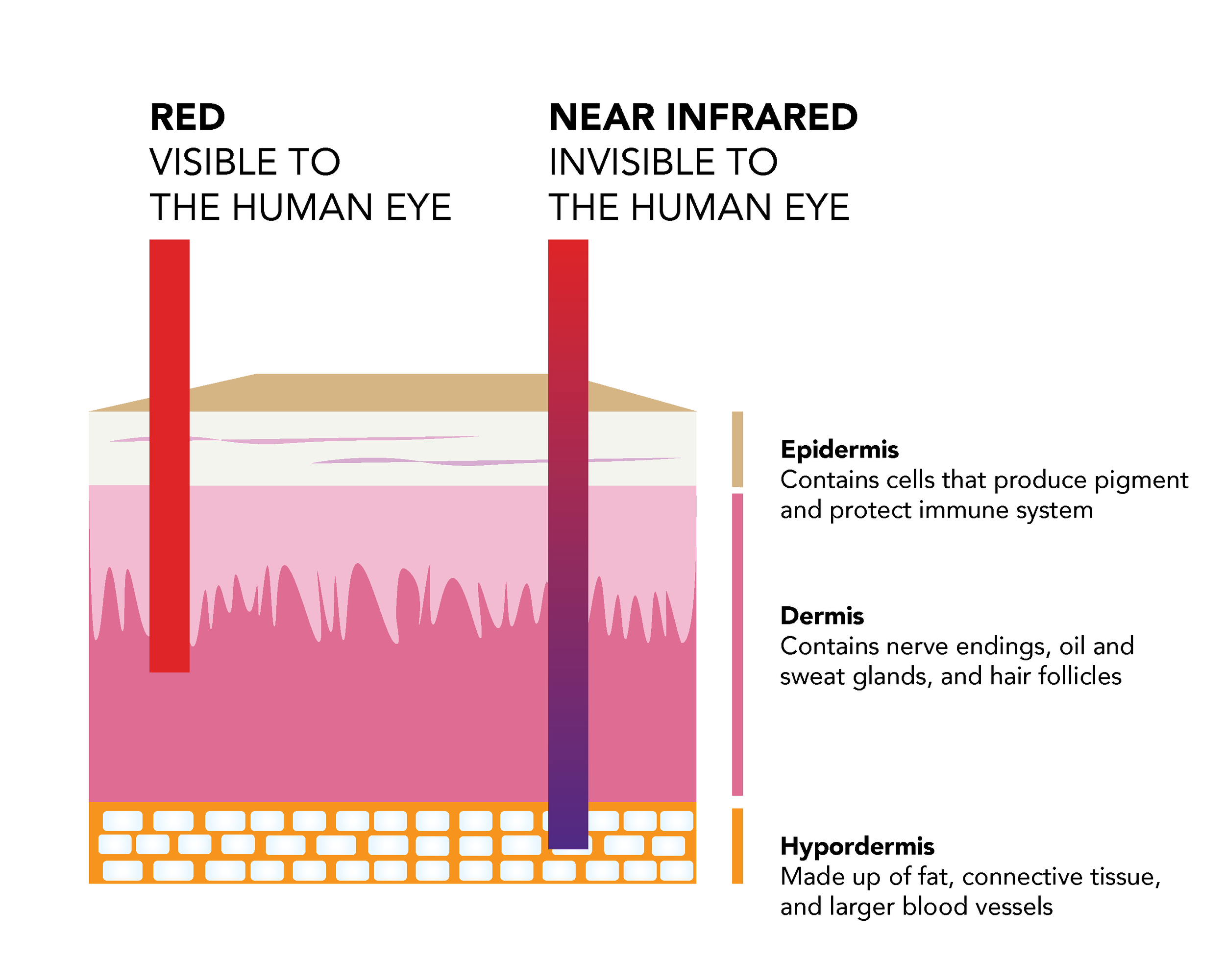 Photobiomodulation (PBM) Beds: Medical-grade: 360 RLT