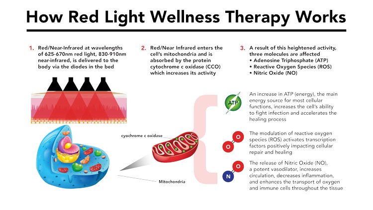 Red Light Therapy: Benefits, Uses, and Safety