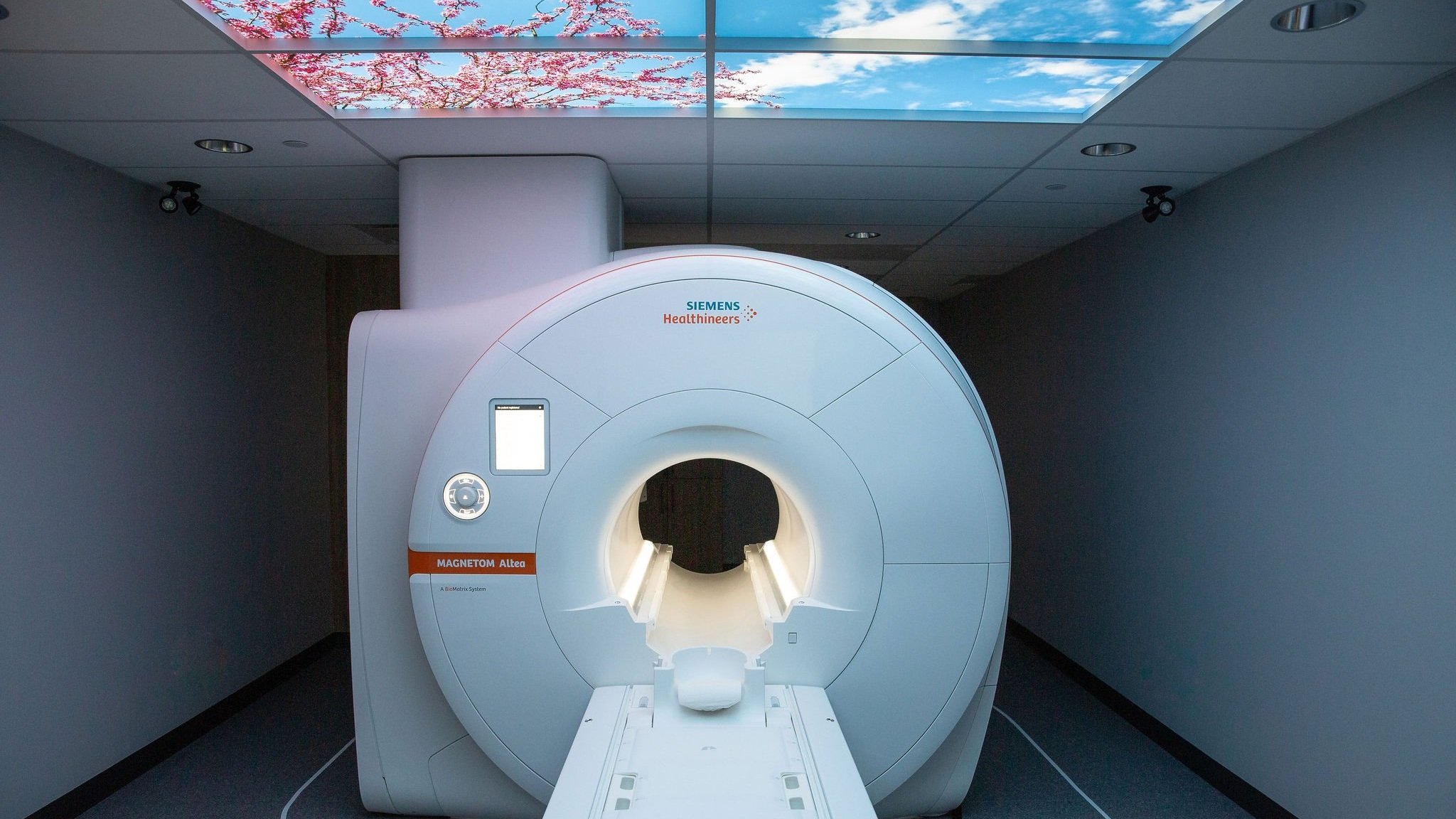 MRI Whole Body — Elysian Health