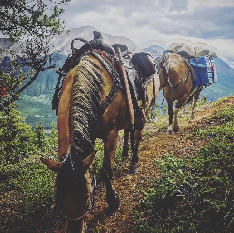 Northern Nomad Outdoors | Yoga and Horseback Adventures