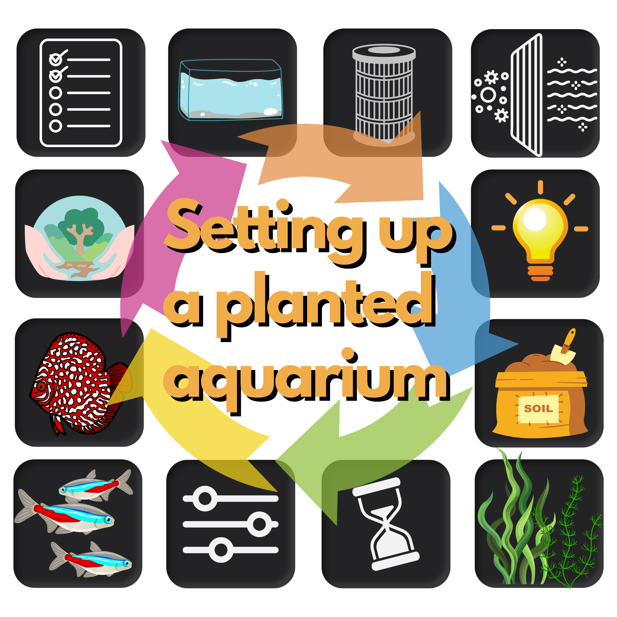 DIY/Education — Custom Freshwater Aquariums and Maintenance Northern ...