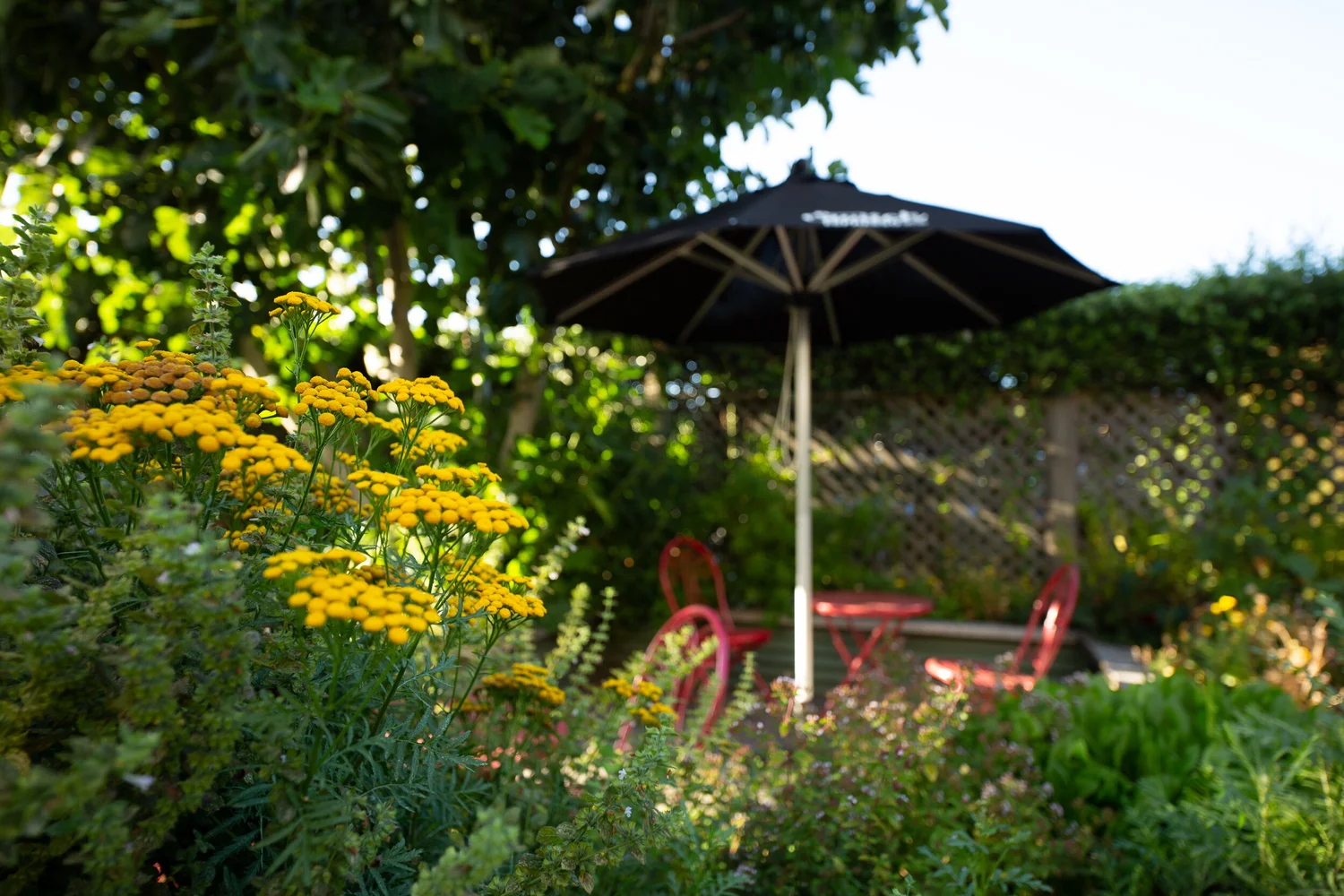 The Herb Centre